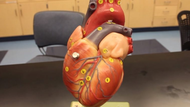 Участък от дамбата между Албена и Балчик е напълно разрушен заради ...