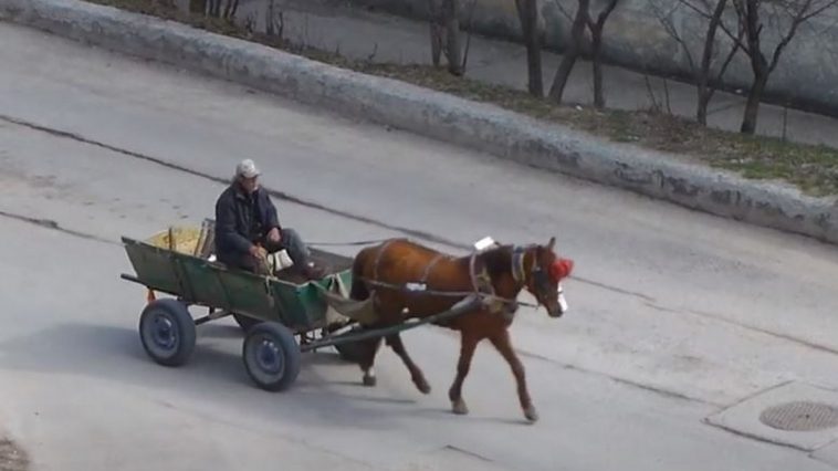 Потвърдено! Бензиностанция на Марешки “взриви” цените във Варна – газ 0 ...