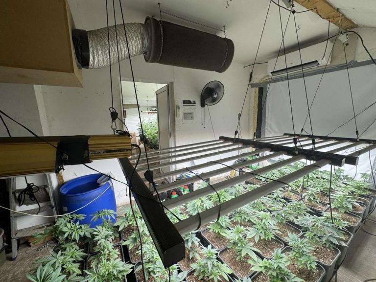 Рецепта за бърз и лесен козунак: Тайната на перфектното тесто е в ...