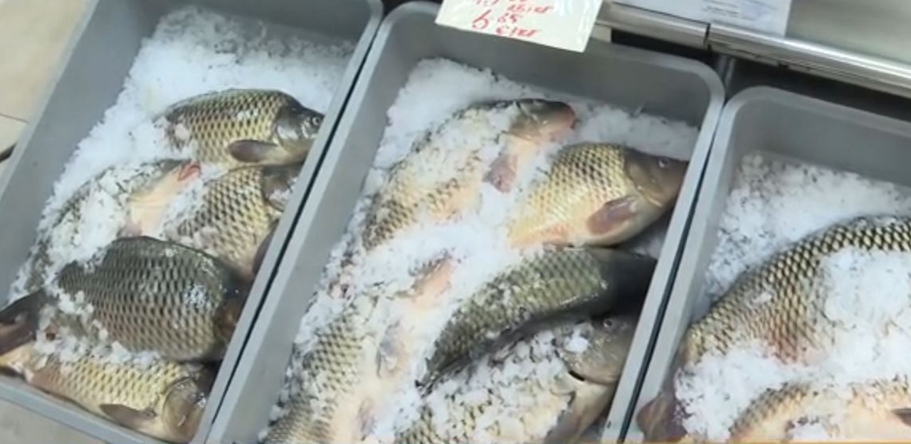 Шаранът – царят на Никулден: Как да изберем пресния рибен деликатес за ...